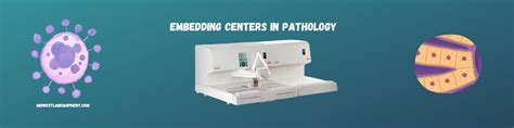Comprehensive Guide To Embedding Centers In Pathology Midwest Lab