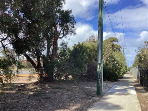 Power Line Clearance Hayes Tree Care