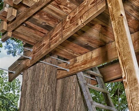 How To Build A Treehouse Building A Treehouse Tree House Diy Tree House Plans