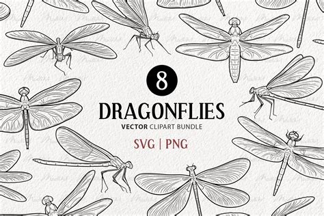 Dragonfly Vector Clipart Set Insect Line Art Design Cuts
