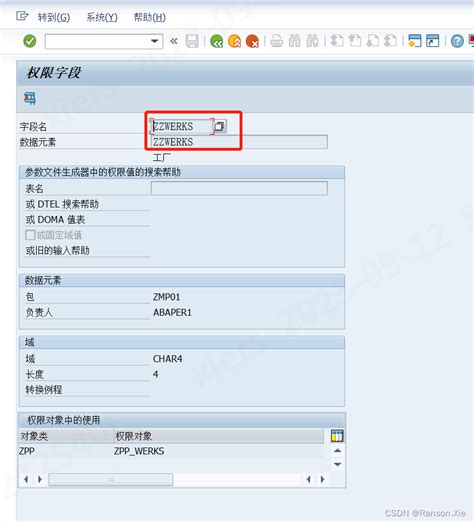Sap 自定义权限对象开发与使用sap自定义权限对象 Csdn博客