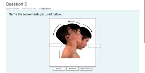 Solved Name The Joint Name The Joint Name The Bones Of Chegg Com