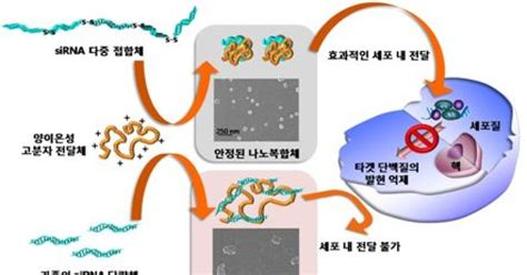 핵산 유전자 치료제 전달시스템 개발