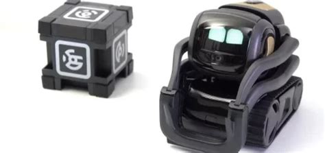 Abb Robot Features Advantages Disadvantages And What Can Abb Robots Do Science Online