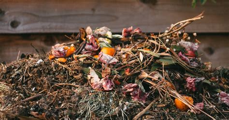 How It Works Composting Composting Prove It Center Smart Plastic