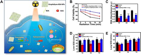 Nanostructured Gdy Ijn