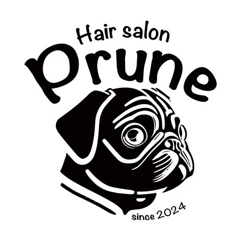 Prune Menu Hair Salon Prune(プリュネ) Prune Menu Hair Salon Prune(プリュネ)