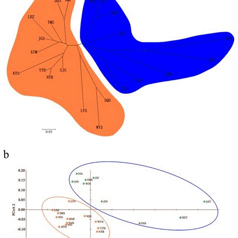 A Neighbor Joining Nj Dendrogram Based On Neis 1978 Genetic