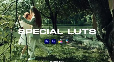 Special Luts Color Presets For Davinci Resolve Design Shack