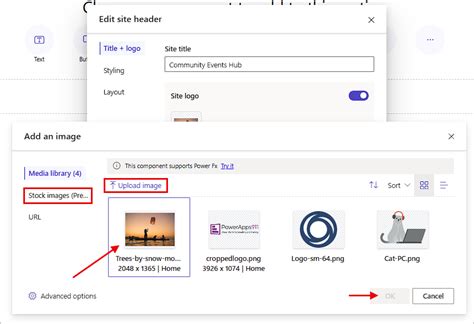 Introduction To Power Pages Part 2 Creating Pages And Navigation