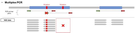 Target Capture Multiplex Pcr Vs Hybridization Capture Celemics Inc