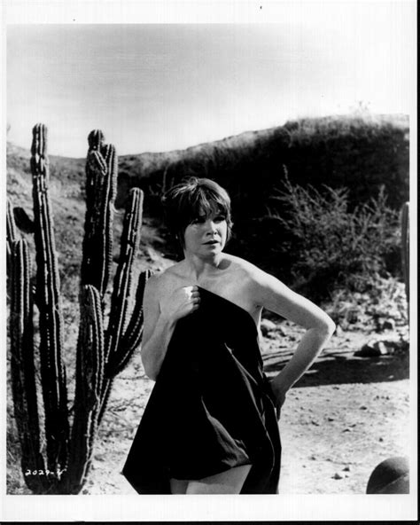 Shirley Maclaine Two Mules For Sister Sara