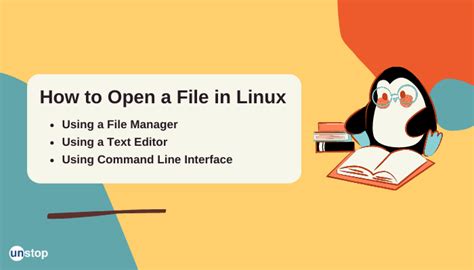 Open File With Command Linux Posetke