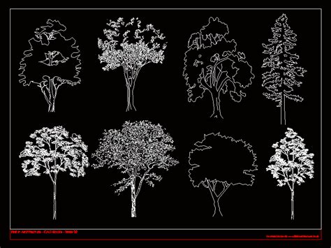 Trees 2D DWG Block For AutoCAD Designs CAD