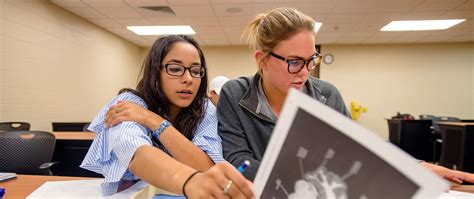 Pre Physician Assistant Centre College