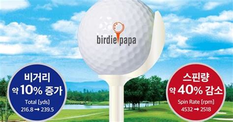 볼 스핀 줄여 슬라이스 잡아주는 골프티