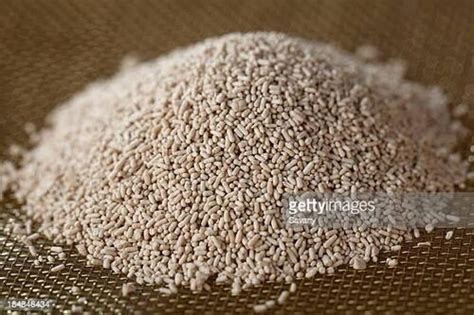 Dry Yeast At Best Price In Mumbai Maharashtra Prince Enterprise