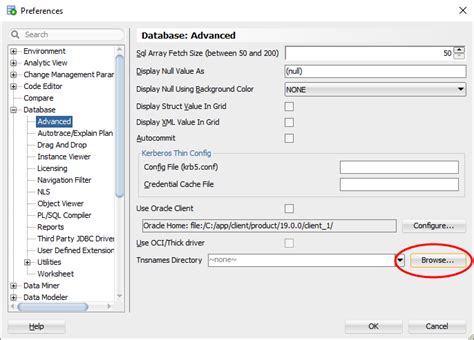 tnsnames ora in sql developer how to sop