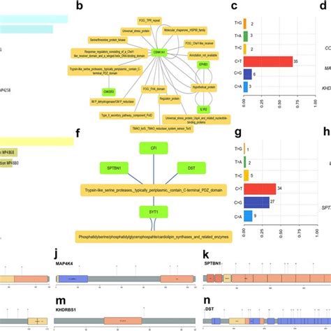 Pathway And Network Analysis A Top Ten Significant Pathways Enriched