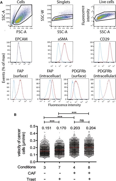 Dissecting Effects Of Anti Cancer Drugs And Cancer Associated Fibroblasts By On Chip