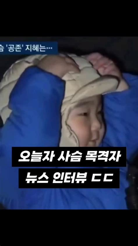 스마일 누리 해피 스마일컴퍼니 진짜 너무 귀엽다 ㅋㅋㅋㅋㅋㅋㅋㅋ 출처 Jtbc 뉴스 Instagram