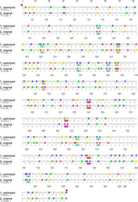 Alignment Illustrating The Sequences Of The Native And Codon Optimized