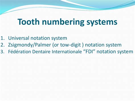 Tooth Numbering Systems And Dental Anatomy Presentation Tooth Numbering Systems And Dental Anatomy Presentation