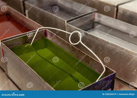 Scientist Staining Microscope Slides For Cytology Studies In The