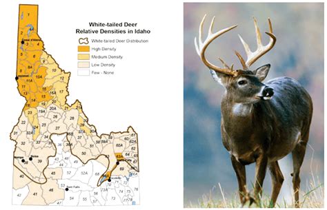 Otc Whitetail Tags For Idaho Gohunt The Hunting Company