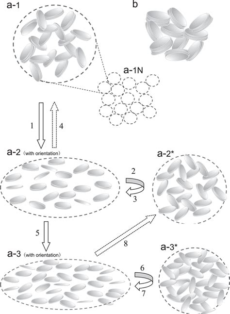 Schematic Representations Of Model Microstructures For Aqueous