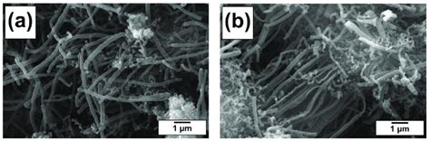 Sem Micrographs Of The Cnf Cl A And Cnf Cl N B Samples The