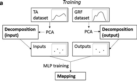 A Neural Network Method To Predict Task And Step Specific Ground Reaction Force Magnitudes From