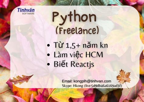 Jen Phan On Linkedin Python Reactjs Freelance