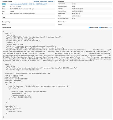 Unveiling Sysdigs New Custom Webhook Sysdig