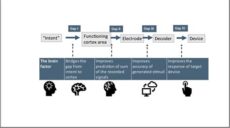 the constrained disorder principle accounts for the structure and
