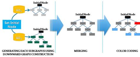 Downward Graph Construction Given A Particular Go Term As An Initial Download Scientific