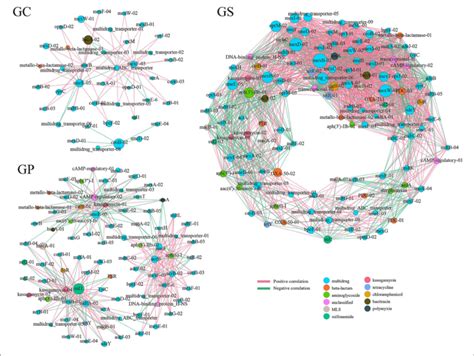 | The network analysis revealing the co-occurrence patterns among ARG ...