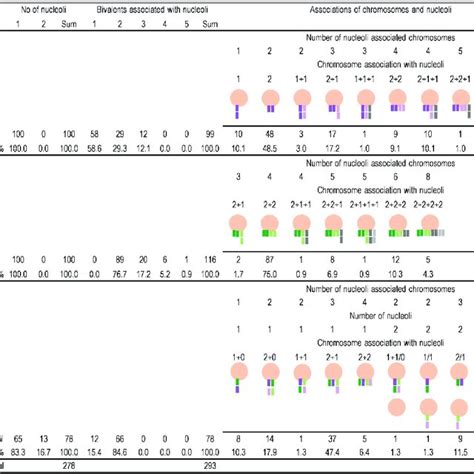 Summary Of The Relationship Of Chromosome Association With Nucleoli At