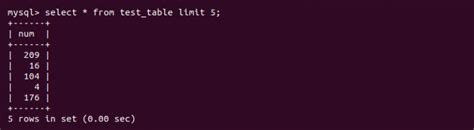 How To Repair Mysql Database A Step By Step Guide