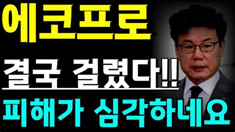에코프로그룹🚨속보 에코프로비엠 포스코홀딩스 에코프로주가전망 실시간 삼성전자 서정덕tv 박순혁 에코프로 주식
