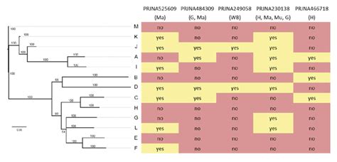 Expression Analysis A Total Of Five Transcriptomes Of Different
