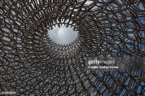 The Hive At Kew Gardens Photos And Premium High Res Pictures Getty Images
