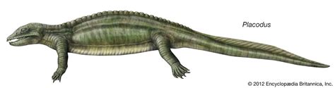 Hylonomus Fossil Reptile Genus Britannica