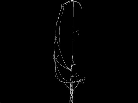 Tree In Elevation 027 In Autocad Cad Download 11 94 Kb Bibliocad