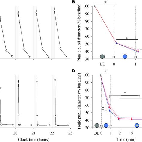 Eeg Response And Dynamics During Light Exposure A D G J M Left Download Scientific Diagram