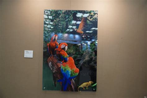 2014珠海耗材展 打印艺术作品