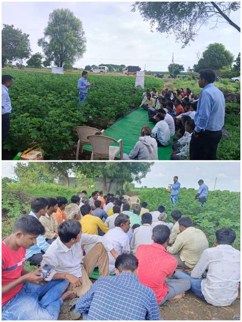 Roshan Katkade On Linkedin Field Day Activities With Cotton Growers Products Ju Tridev Vitagold
