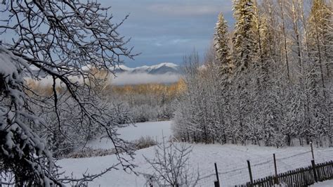 Same Scene Different Light