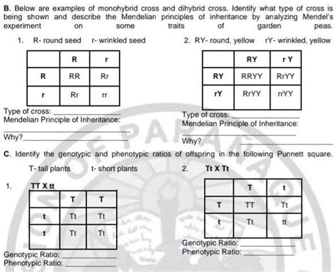 Solved Below Are Examples Of Monohybrid Cross And Dihybrid Cross