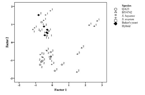 plot values of the first two factors of principal component analysis